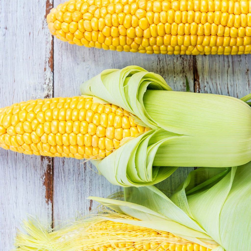 Corn [each] – Fruit Thyme