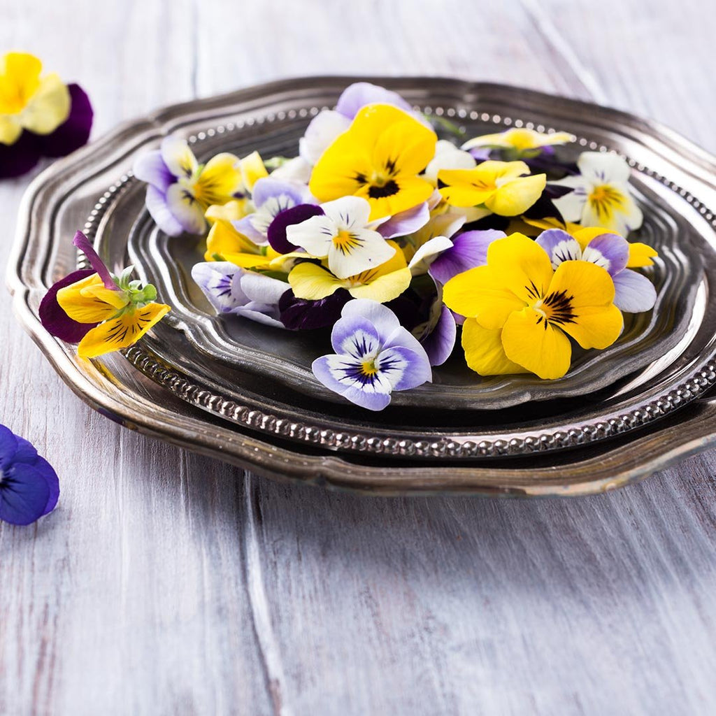Edible Flowers [punnet] – Fruit Thyme
