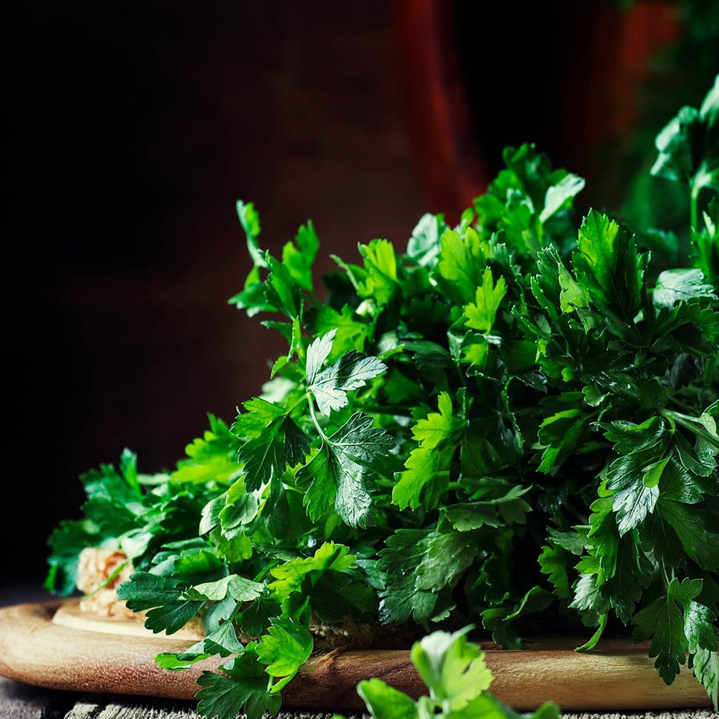 Parsley Italian [bunch] – Fruit Thyme