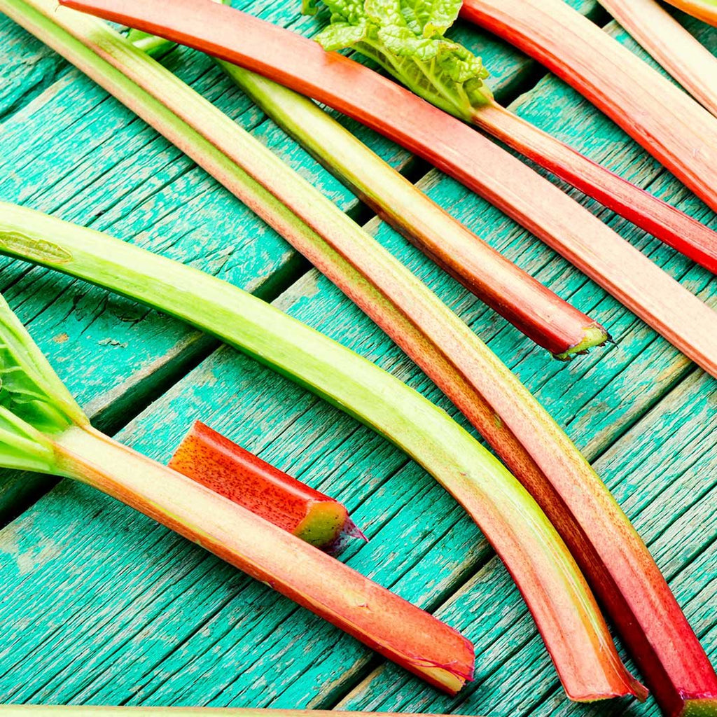 Rhubarb [500g bunch] – Fruit Thyme