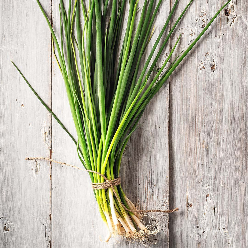 Onions Spring [bunch] see Eshallots – Fruit Thyme