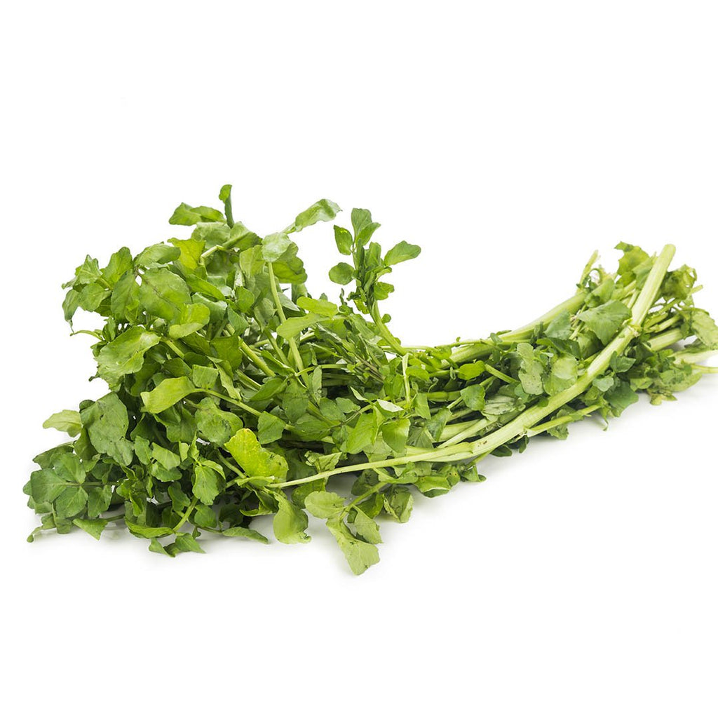 Watercress [bunch] – Fruit Thyme